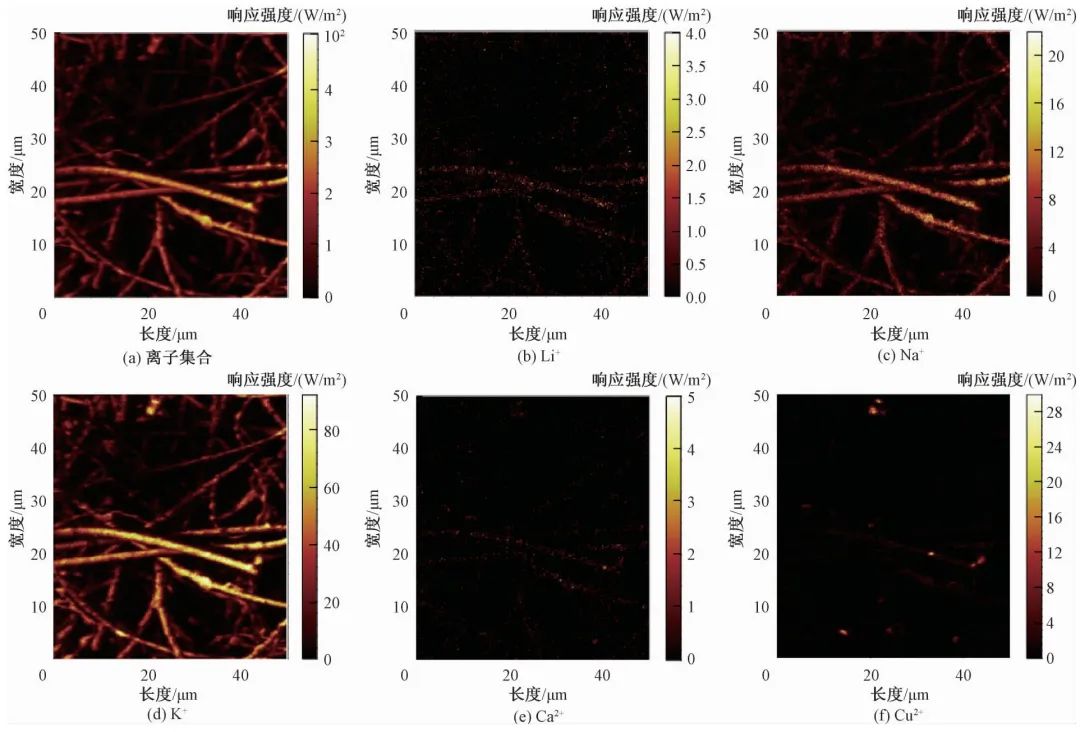 TOF-SIMS能测什么