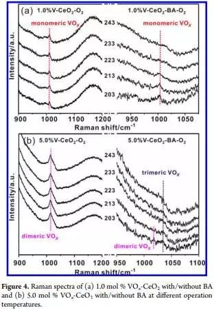 Raman在催化中的应用-拉曼光谱仪