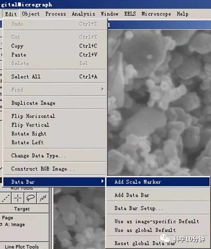 怎么用DigitalMicrograph（DM）软件给SEM图添加标尺
