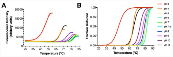 一文读懂差示扫描荧光法（DSF）