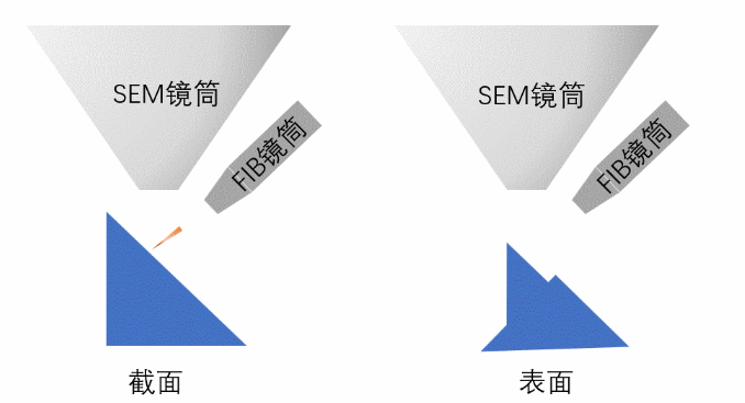 sem断面制样是什么