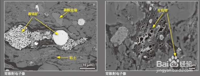 SEM扫描电镜图片怎么分析|铄思百检测