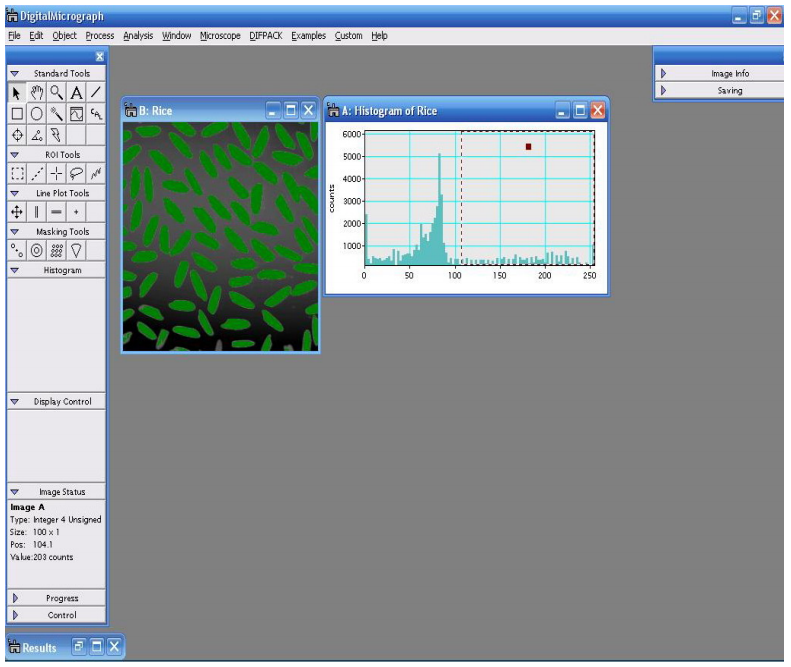 铄思百检测|Digitalmicrograph也可以做颗粒尺寸分析