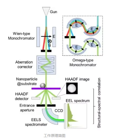 铄思百检测｜eels是什么测试