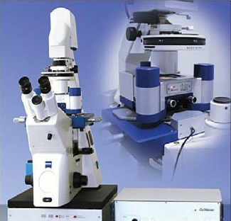 AFM样品制备要求指南