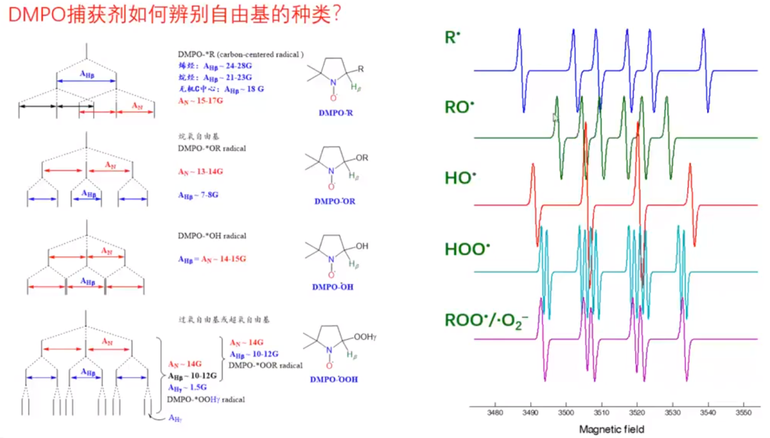 EPR测试介绍、基本原理以及对应的不同自由基信号峰