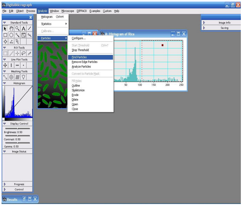铄思百检测|Digitalmicrograph也可以做颗粒尺寸分析