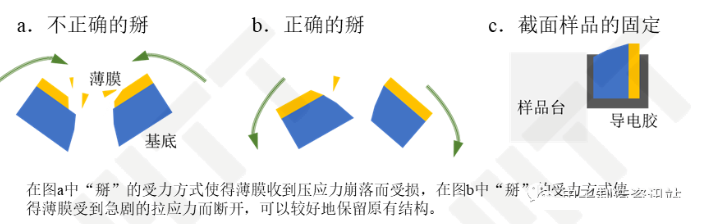 sem断面制样是什么