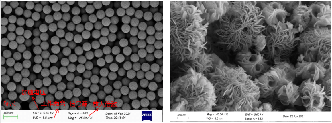 sem测试一次多少钱