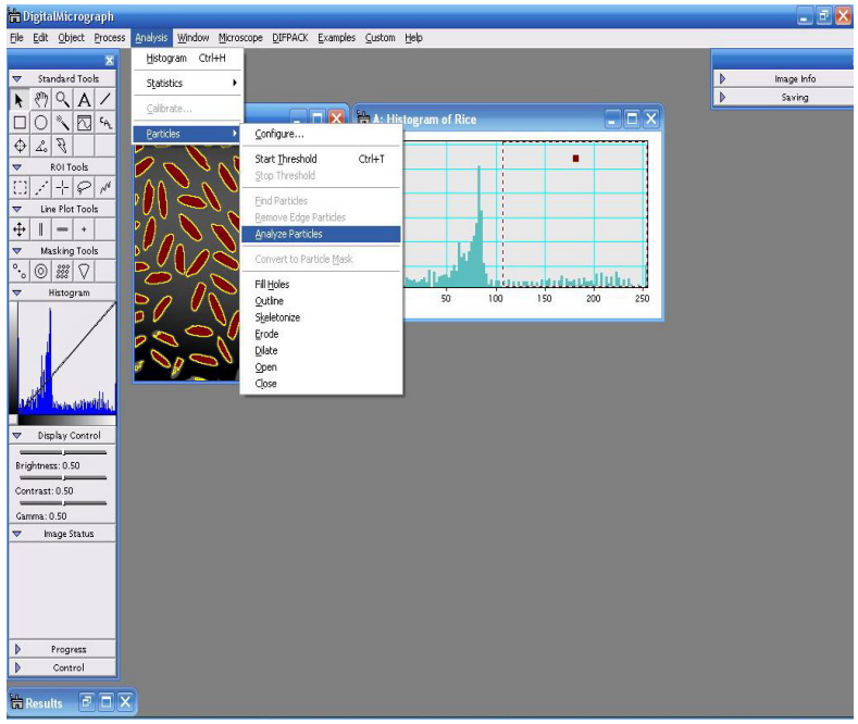 铄思百检测|Digitalmicrograph也可以做颗粒尺寸分析