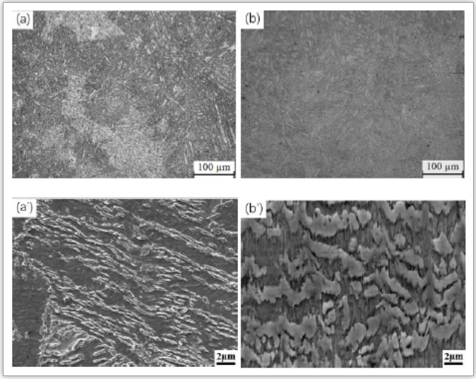 SEM扫描电镜的应用分析
