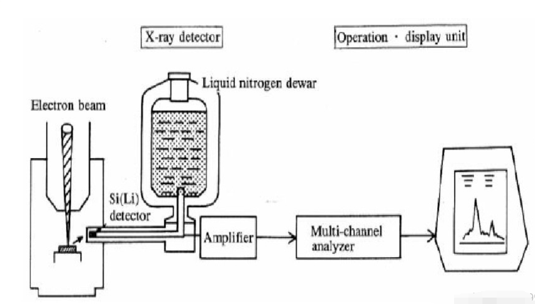 SEM扫描电镜eds能谱分析