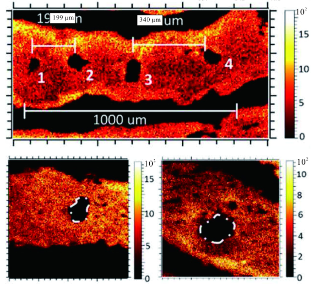 TOF-SIMS能测什么