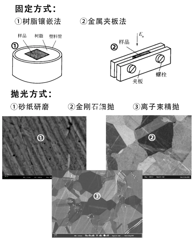 sem截面制样方法