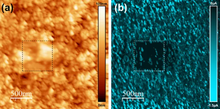 AFM原子力显微镜测试什么——非常全面的介绍！！